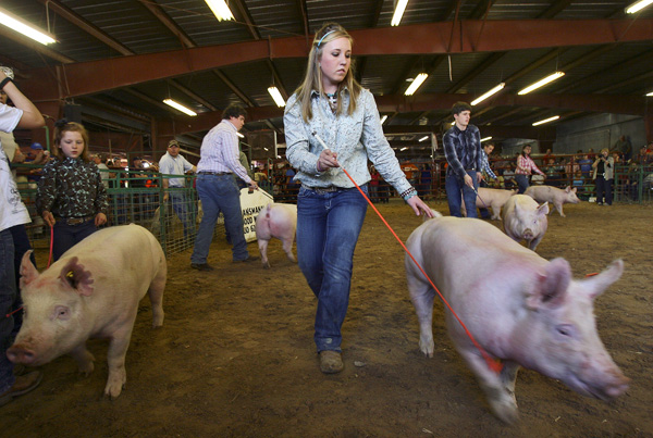 Goats, swine take center stage at Comal County livestock show | Local ...