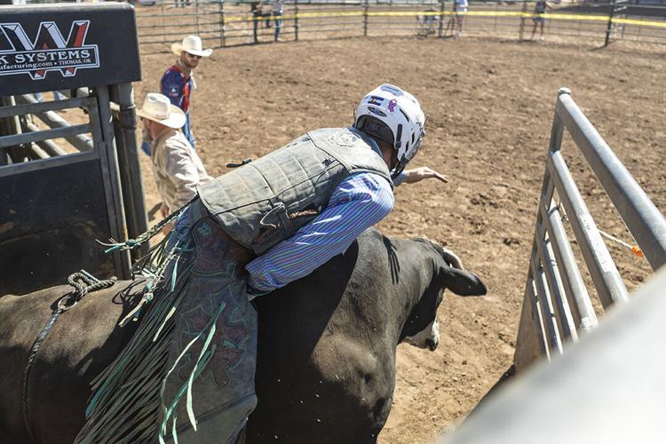 WHERE GRIP MEETS GRIT: Backyard bull riding draws crowd to Comal County ...