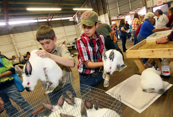 Comal County Junior Livestock Show winners announced | Local News ...