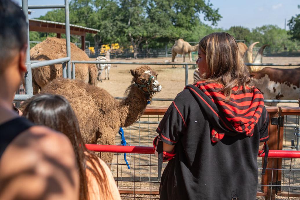 CALL OF THE WILD: New Braunfels' Animal World & Snake Farm Zoo welcomes ...