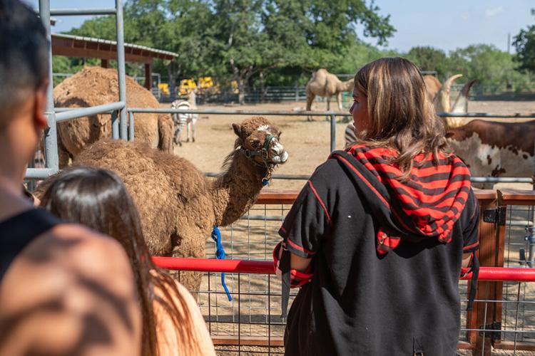 CALL OF THE WILD: New Braunfels' Animal World & Snake Farm Zoo welcomes ...