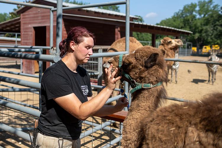 CALL OF THE WILD: New Braunfels' Animal World & Snake Farm Zoo welcomes ...