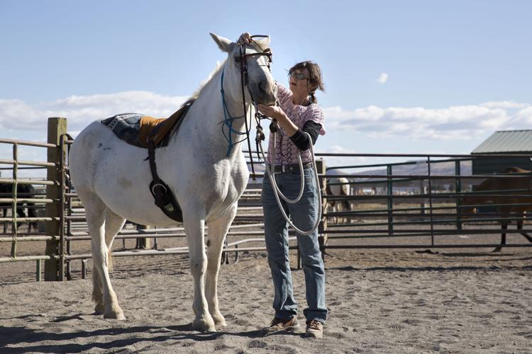 A helping hand for horses | Local News | heraldandnews.com