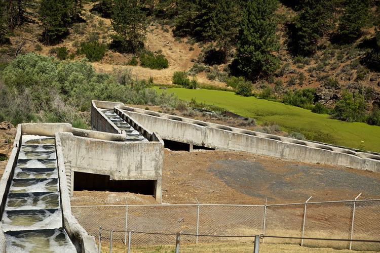 Object Lesson: John C. Boyle Dam fish ladder | Local News ...