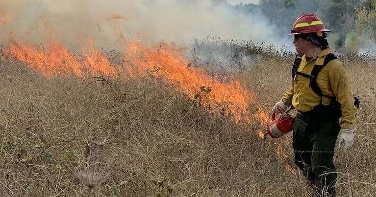 Forest agencies seek tribal inclusion in policymaking; Indigenous ...