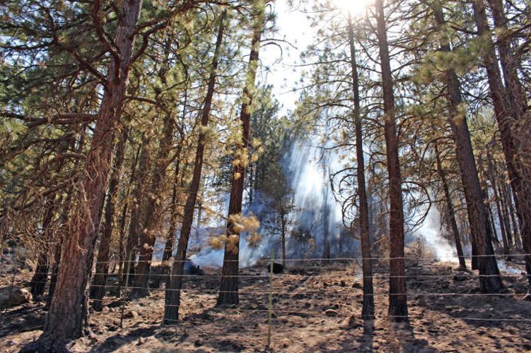 Updated: Ferguson Fire at 200 acres, 50 percent contained | Email Blast ...
