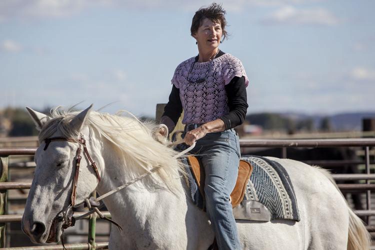 A helping hand for horses | Local News | heraldandnews.com