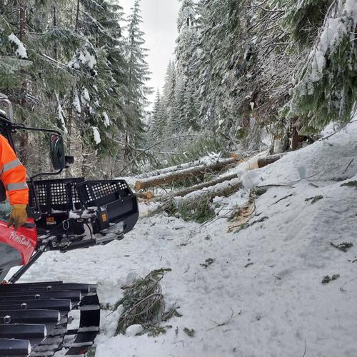 Forest Service struggles to clear more than 300 miles of trails in ...