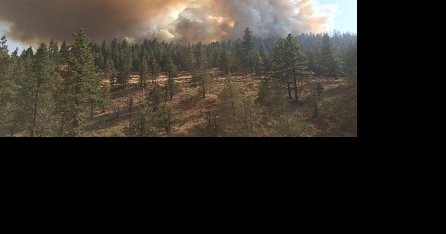 Three fires started by lightning on Modoc Forest | Breaking ...