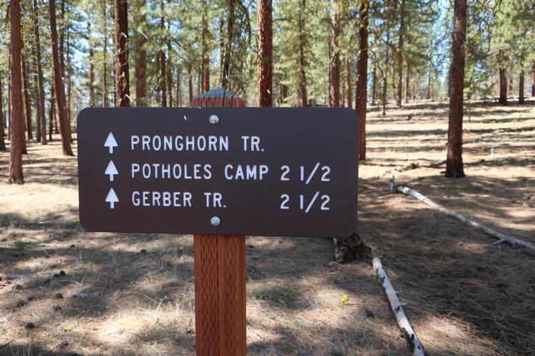 A true test while hiking near Gerber Reservoir | Outdoors ...