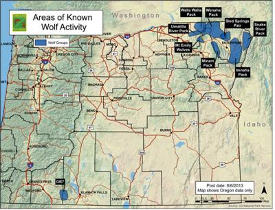 The lone wolf: OR-7 continues search for mate | Email Blast ...