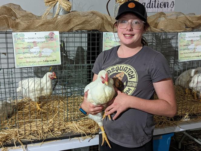 It’s showtime at the 2023 Tulelake-Butte Valley Fair | News ...