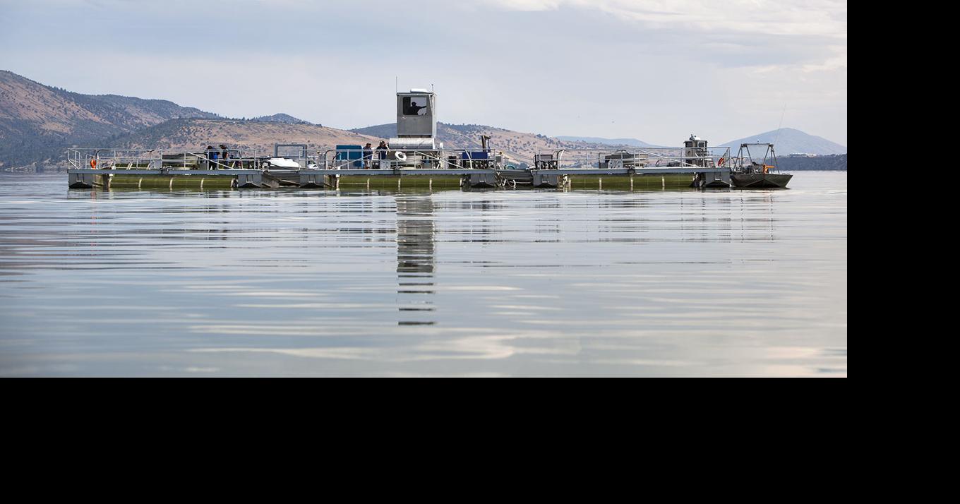 New Earth Algae harvesting and processing | News | heraldandnews.com