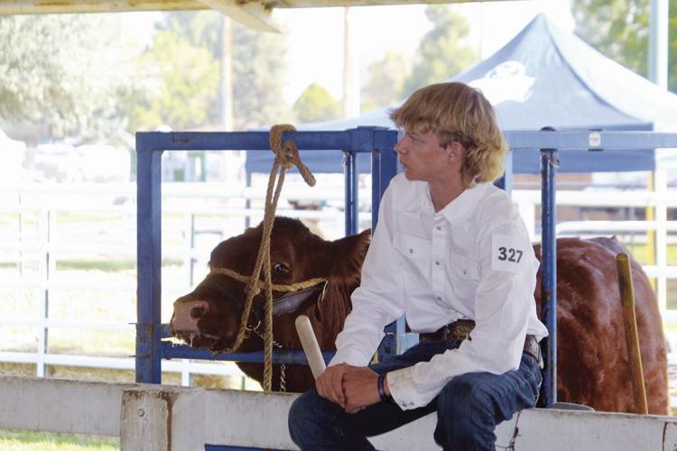 Tulelake-Butte Valley Fair offers plenty | News | heraldandnews.com