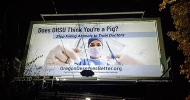 PETA launches campaign against OHSU for using live pigs in surgical ...