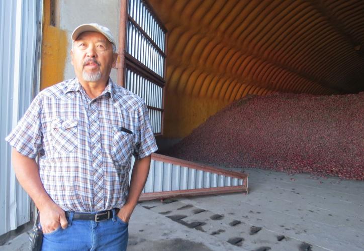 Persistence and potatoes | Local News | heraldandnews.com