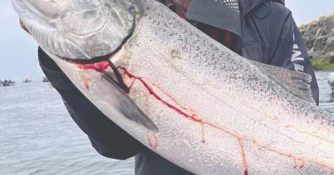 Snook, Robert Lee | | heraldandnews.com