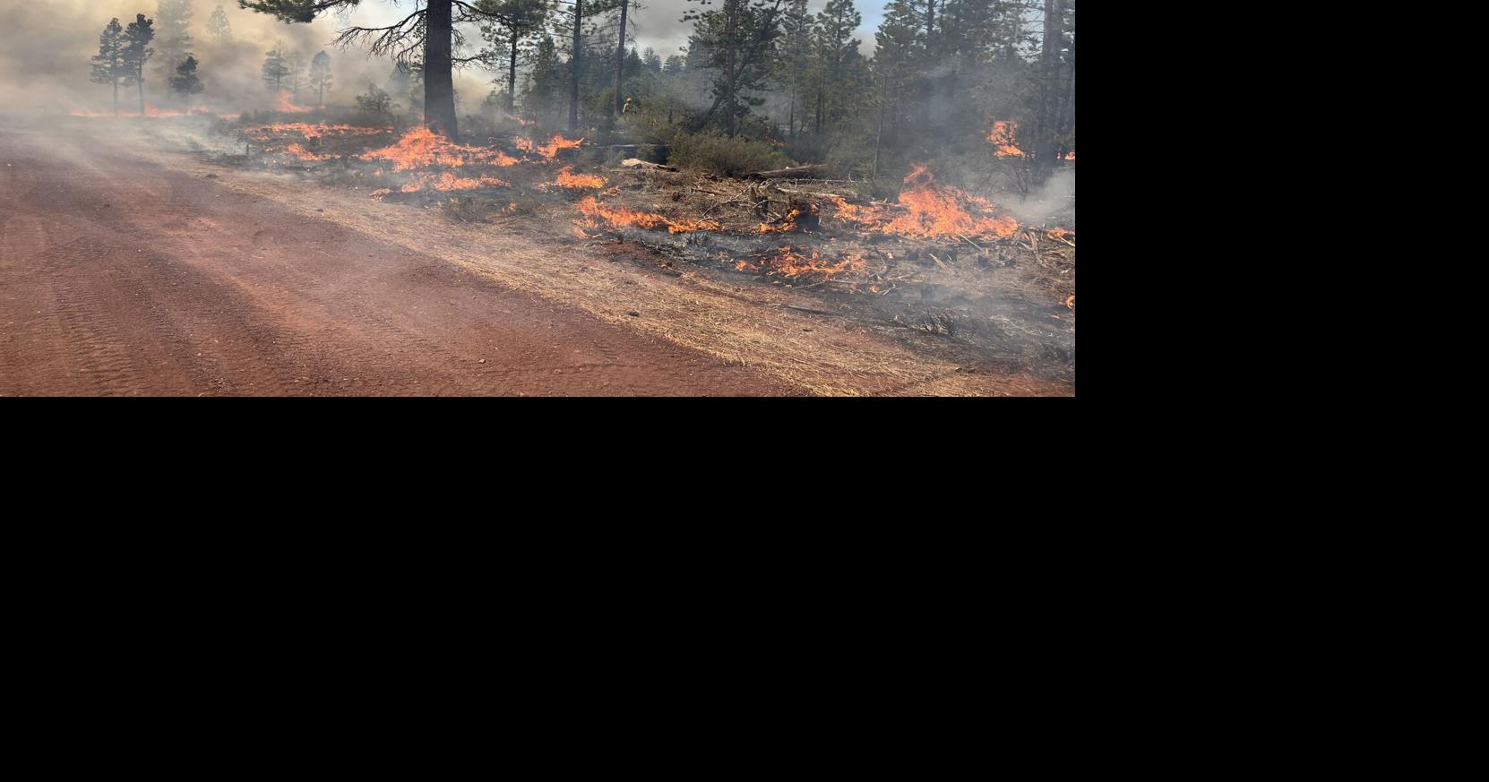 Lightning strikes ignite 2 fires in Fremont-Winema National Forest ...
