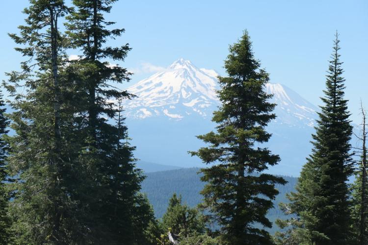 Having a ball on Ball Mountain | Local News | heraldandnews.com