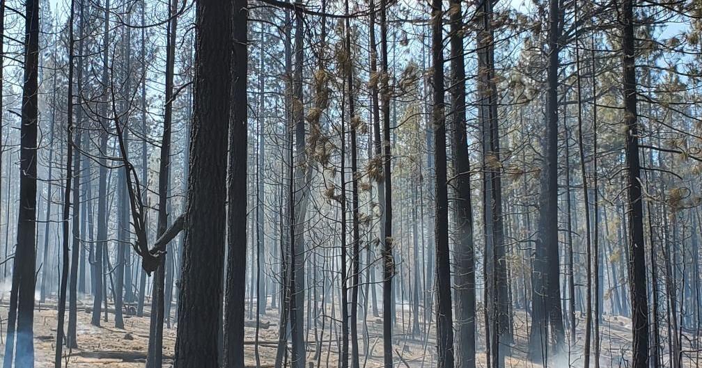 Sycan River Fire grows to 650 acres | Local News | heraldandnews.com