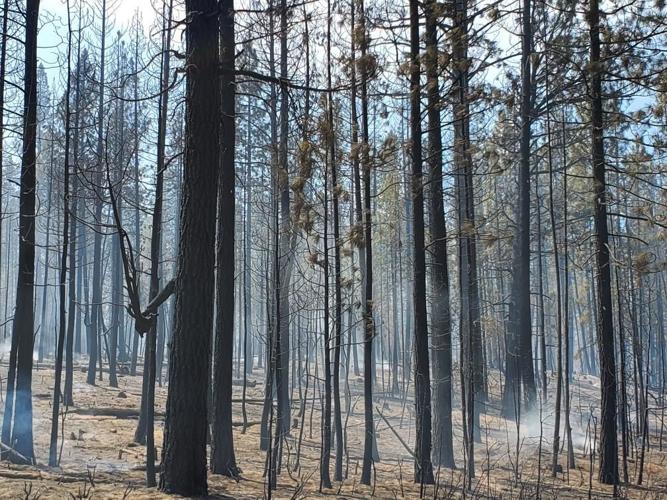Sycan River Fire grows to 650 acres | Local News | heraldandnews.com