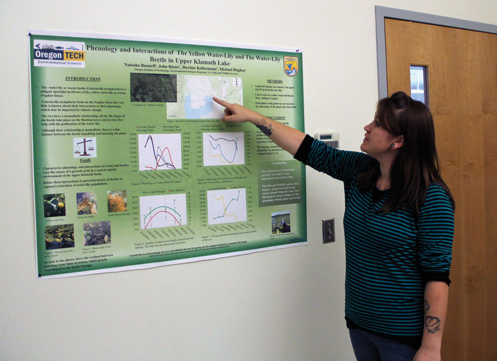 Beetles could help restore wocus plants | Email Blast | heraldandnews.com