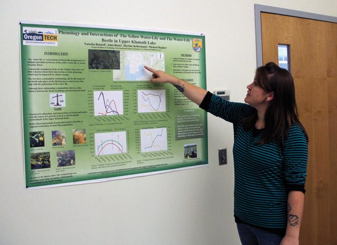 Beetles could help restore wocus plants | Email Blast | heraldandnews.com