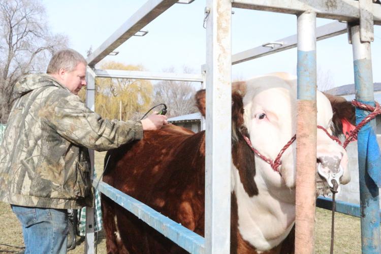 Keeping with tradition | Local News | heraldandnews.com