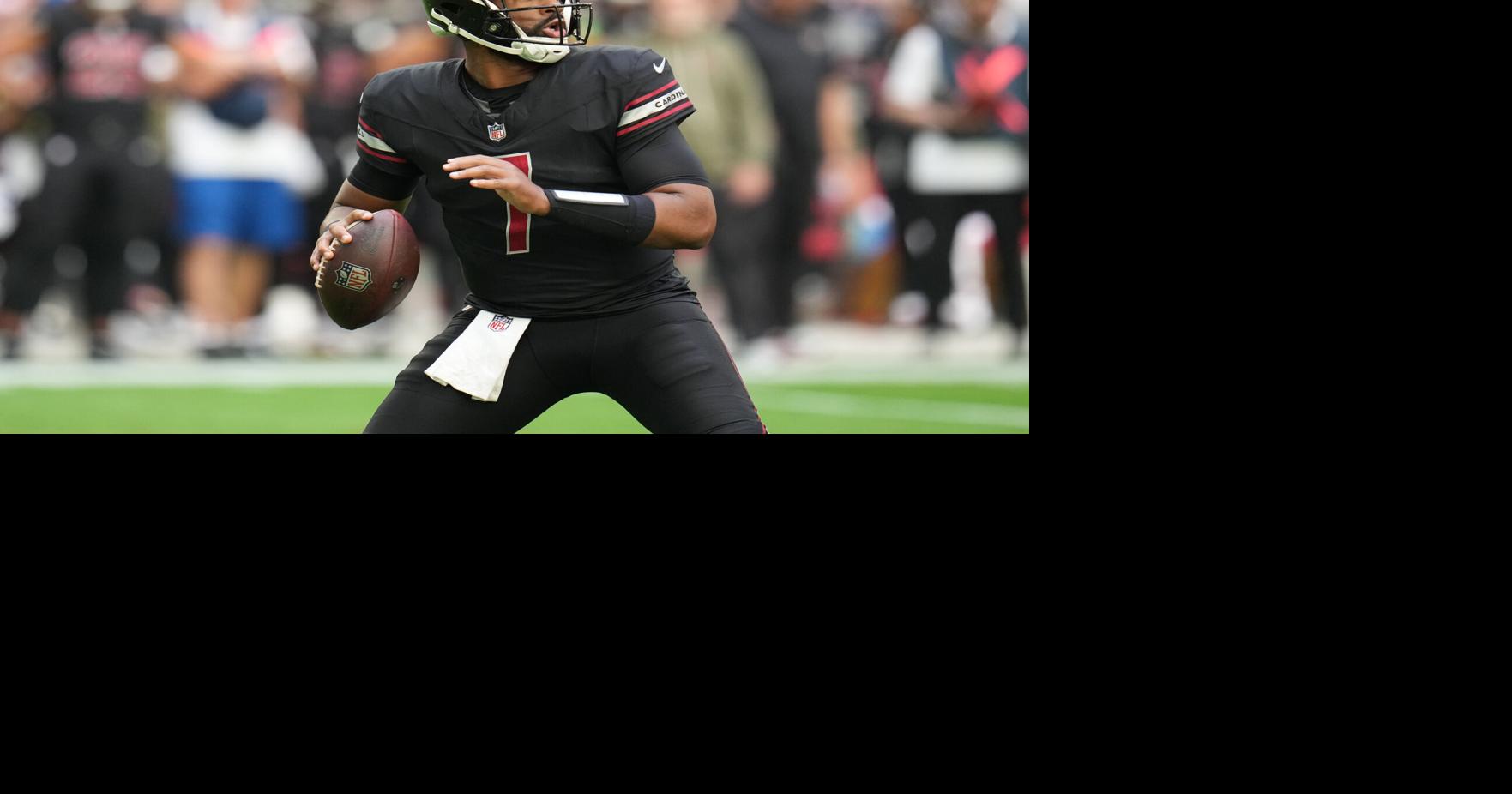 49ers Cardinals Football | Associated Press | heraldandnews.com