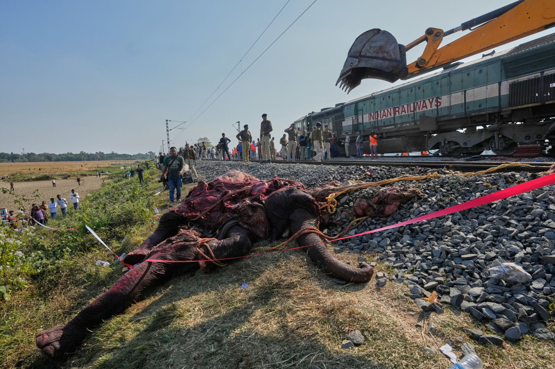 India Elephants Accident | Associated Press | heraldandnews.com