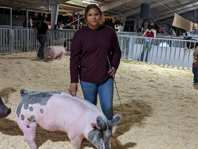 It’s showtime at the 2023 Tulelake-Butte Valley Fair | News ...