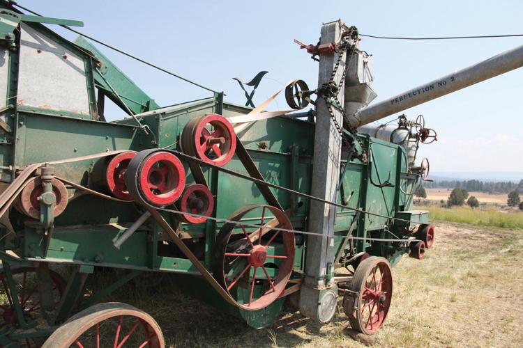 Annual Hildebrand Threshing Bee Saturday | Limelighter | heraldandnews.com