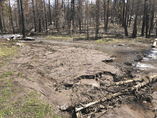 Leave it to Beaver(s) | Basin Ag News | heraldandnews.com