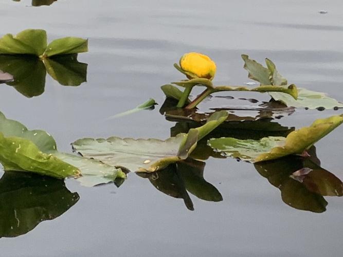 Kayaking in the night – a time of ambience and memories | Outdoors ...