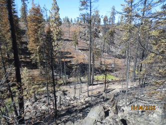 Modoc prepares for assessment of Barry Point Fire area | Members ...