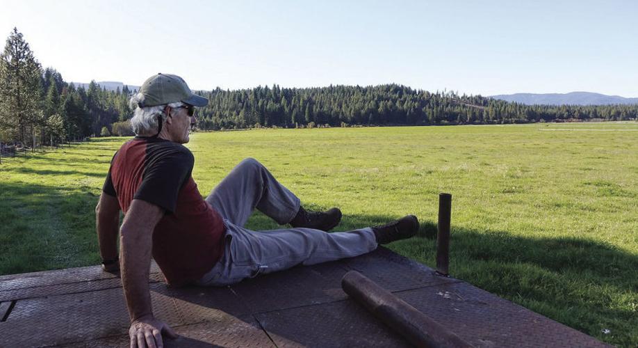 Wolf strategy: Building fences, and bridges | Local News ...