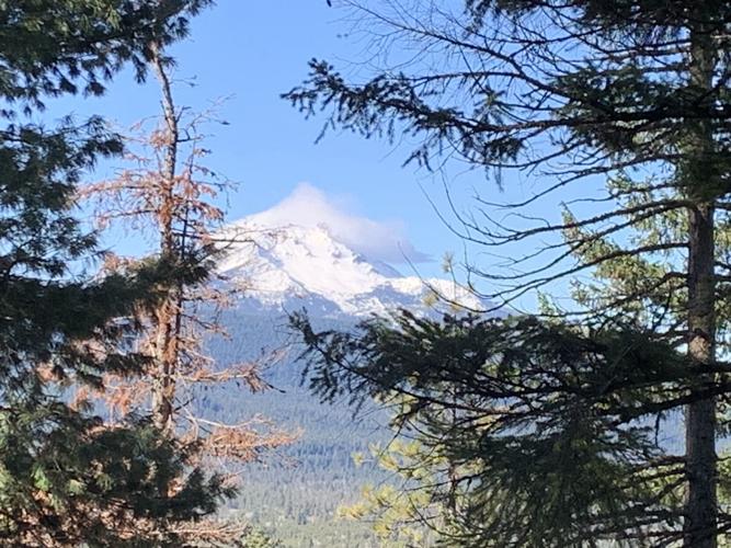 Hiking the Tomahawk Trail | Local News | heraldandnews.com