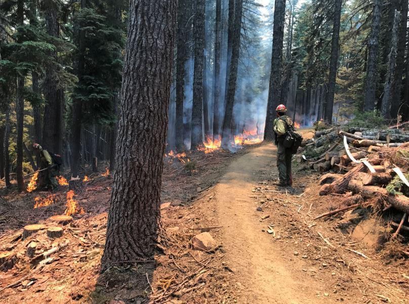 UPDATE: Devils Lake Fire near Bly | Local News | heraldandnews.com