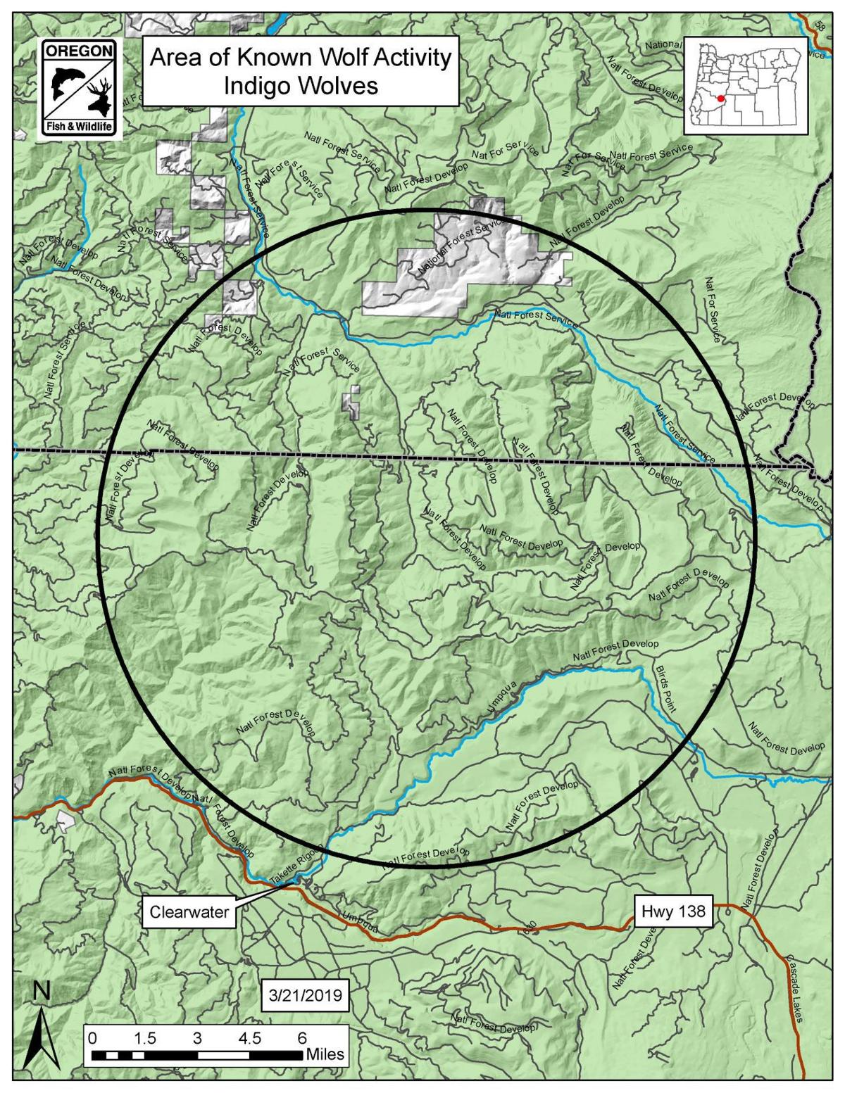 New Indigo group of wolves in southern Oregon Cascades | Local News ...