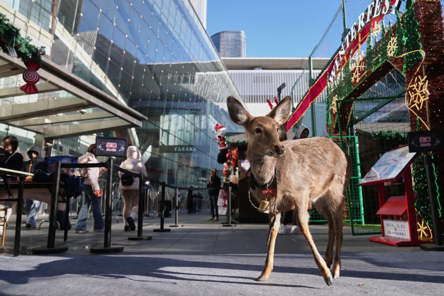 APTOPIX China Daily LIfe | Associated Press | heraldandnews.com