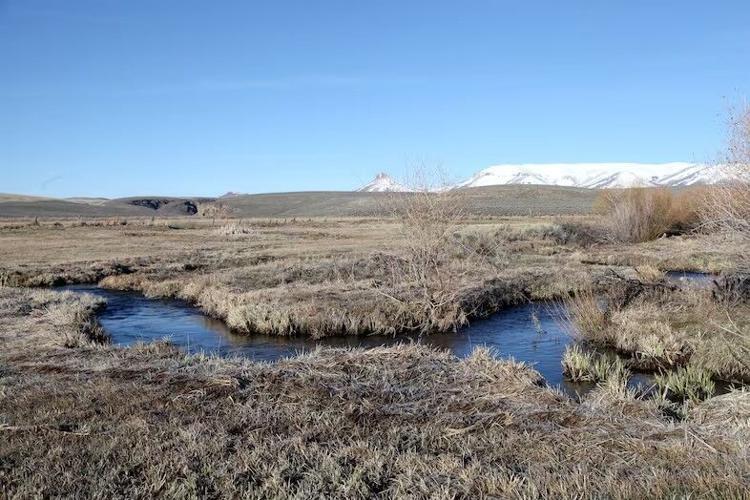 Ranchers in southeast Oregon helped keep sage grouse off the endangered ...