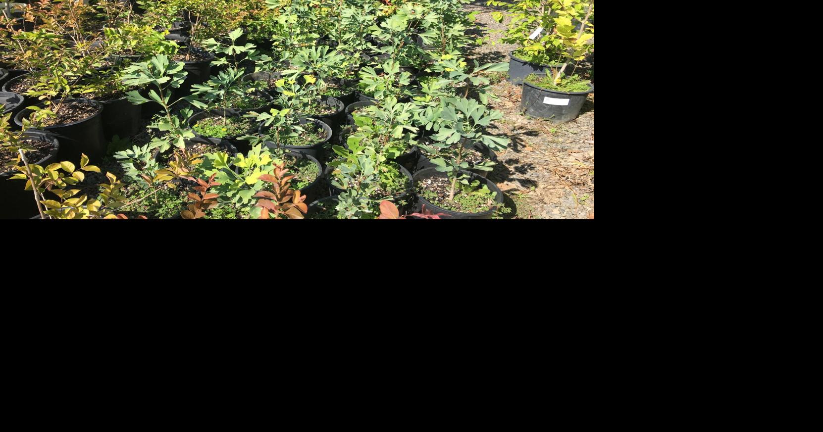 Oregon Department of Forestry celebrates conclusion of statewide ...