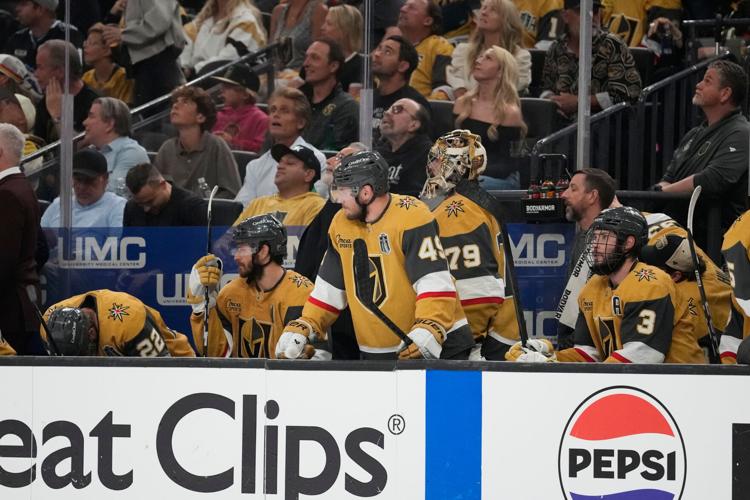 Golden Knights promote Ryan Craig to head coach from AHL | Associated ...