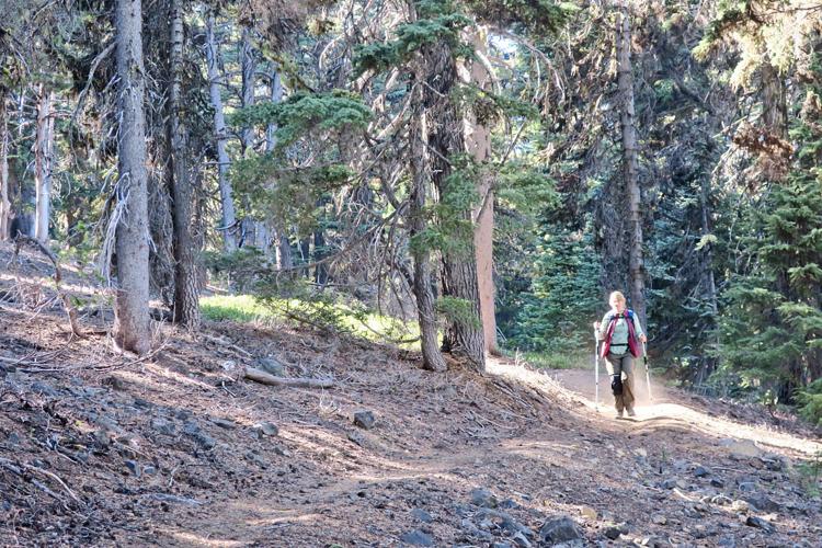 Hiking Goosenest offers tip-top views | Local News | heraldandnews.com