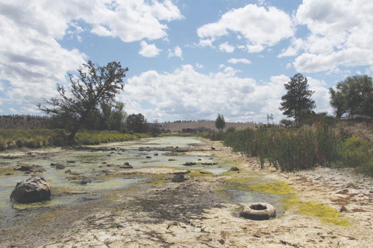 Putting a price on water | Email Blast | heraldandnews.com