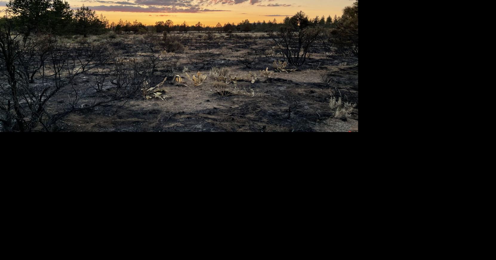 Golden Fire: Firefighting efforts show progress, with 68% containment ...