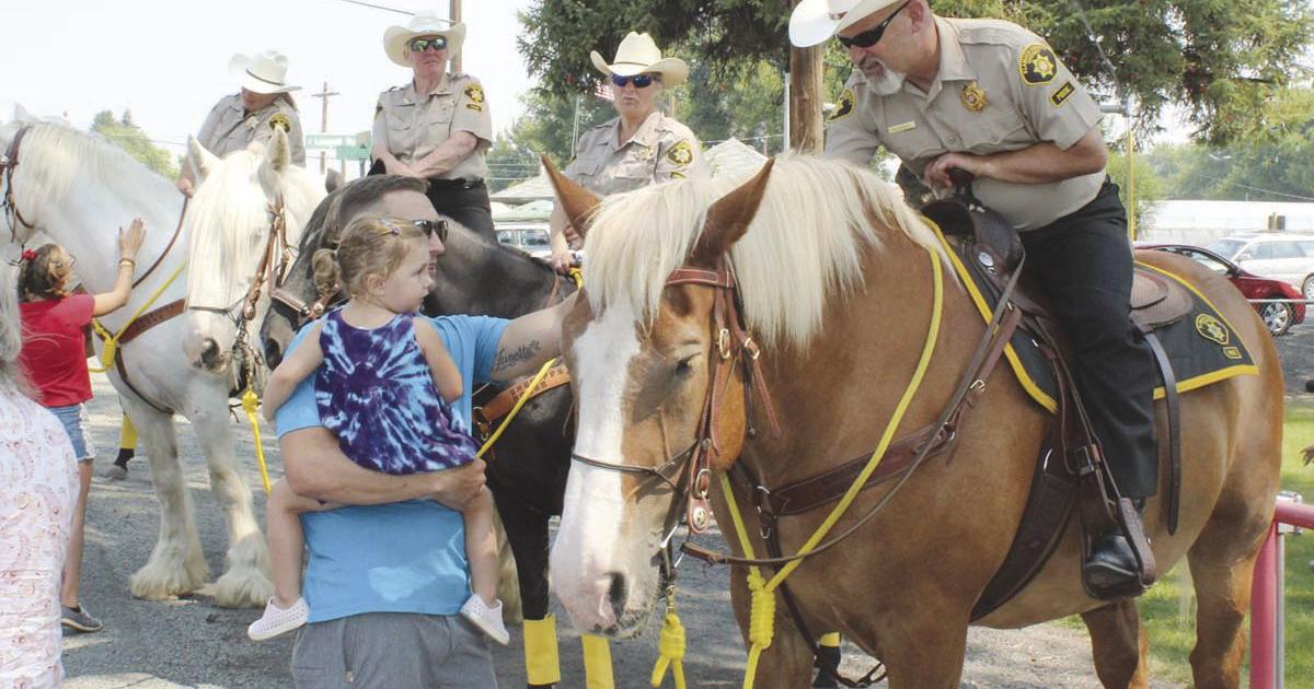 Mounted Sheriff's Posse aims to connect community and law enforcement ...