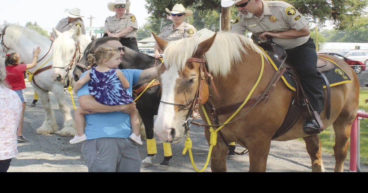Mounted Sheriff's Posse aims to connect community and law enforcement ...
