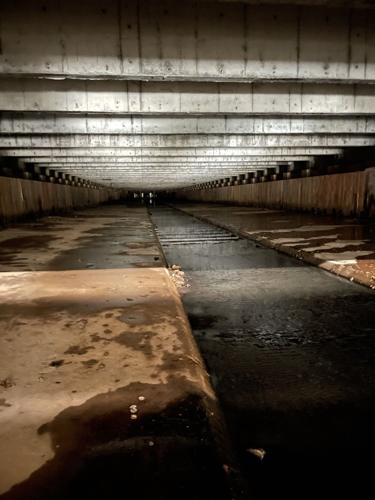 CaughtOvgard: Mind in the gutter: Fishing in Singaporean sewers ...