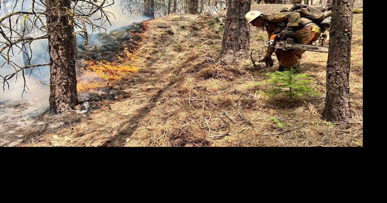 Shelly Fire in Klamath National Forest surpasses 10,000 acres | News ...
